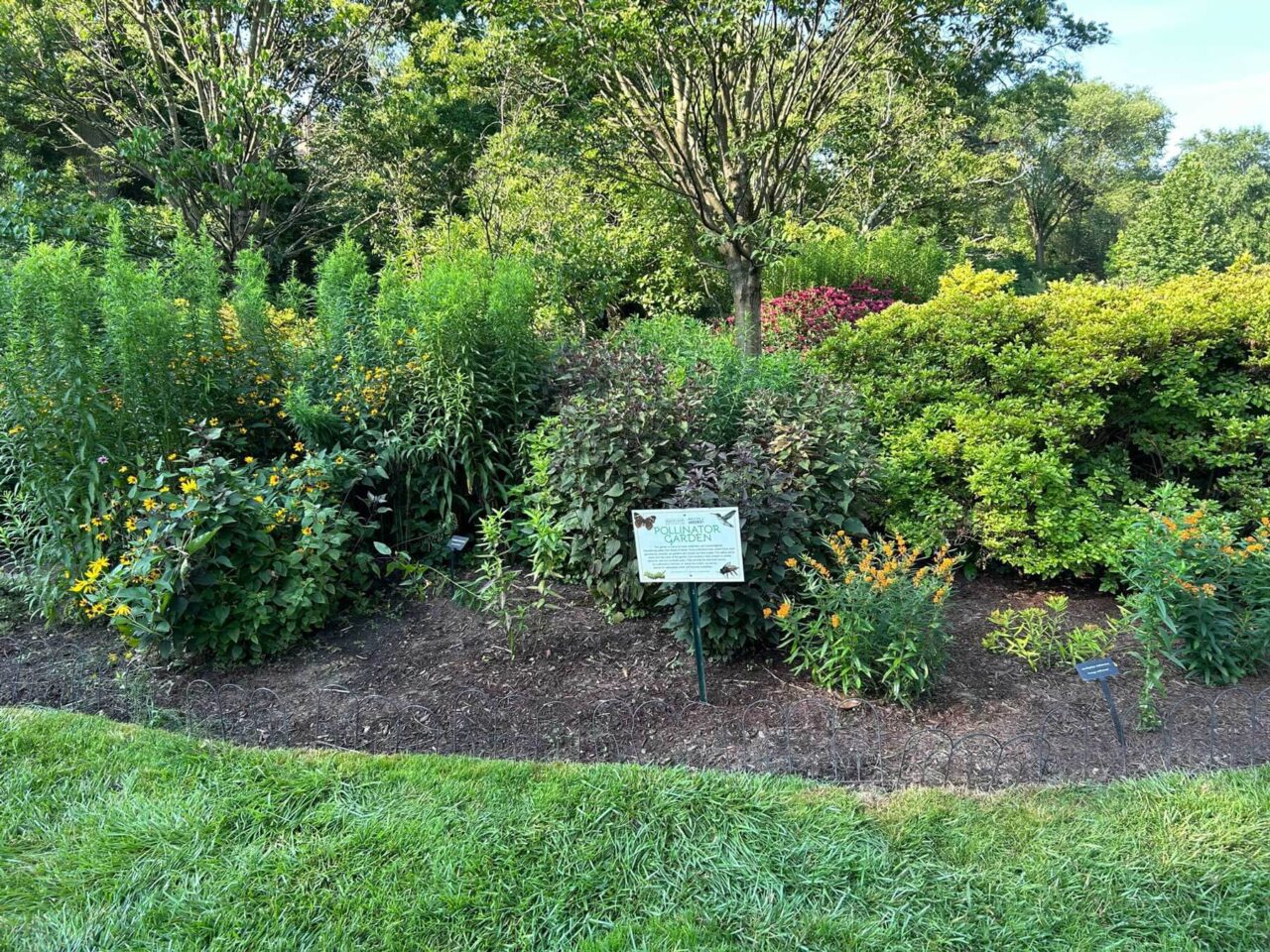 Pollinator Garden | Sherwood Gardens